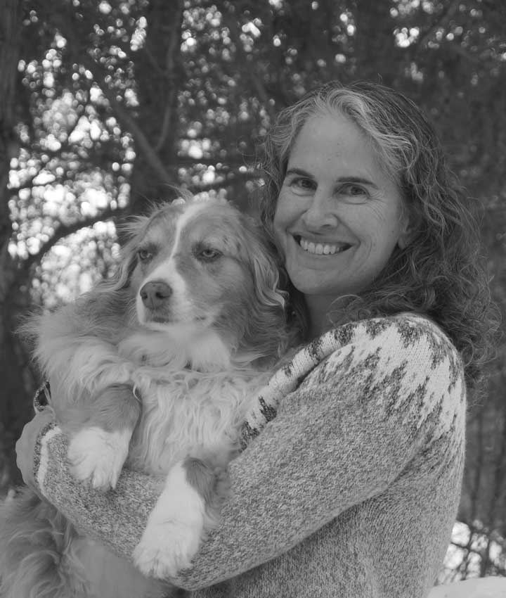 Meet Our Veterinarians & Dedicated Team | Mississippi Mills Animal Hospital